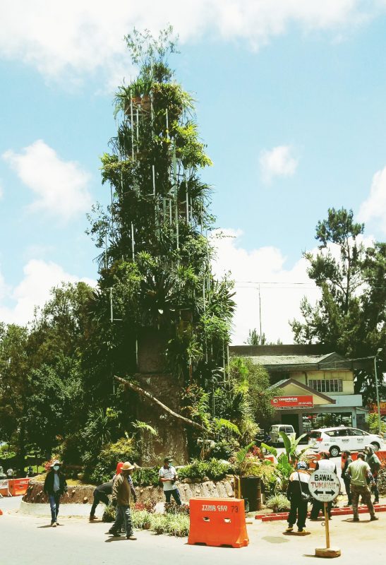 PAGHAHANDA SA PAGLUNSAD NG TREE OF LIFE – Filipino News Sentinel