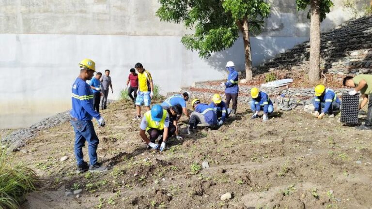 SNAP joins the fight against plastic pollution on World Envi Day ...