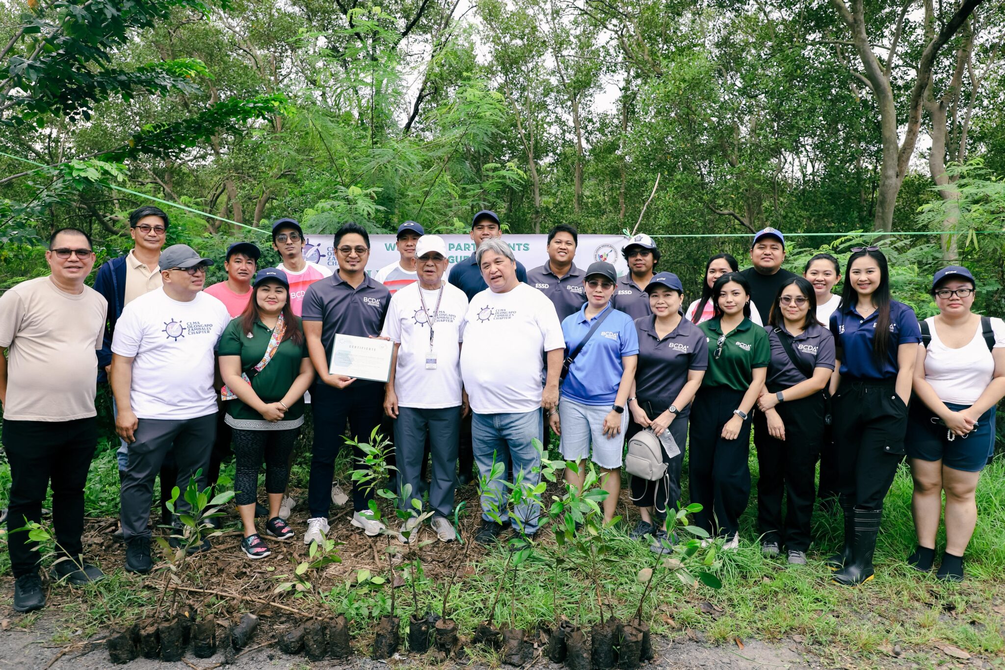 BCDA marks third year of supporting mangrove conservation in Subic ...